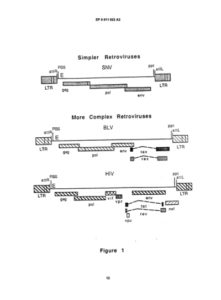 Temin Howard Patents – Ganga Library, Inc.